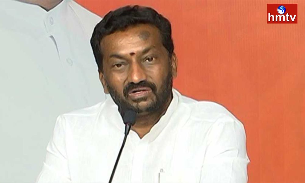 మంత్రి హరీష్‌రావుపై బీజేపీ ఎమ్మెల్యే రఘునందన్‌రావు ఫైర్ | BJP MLA ...