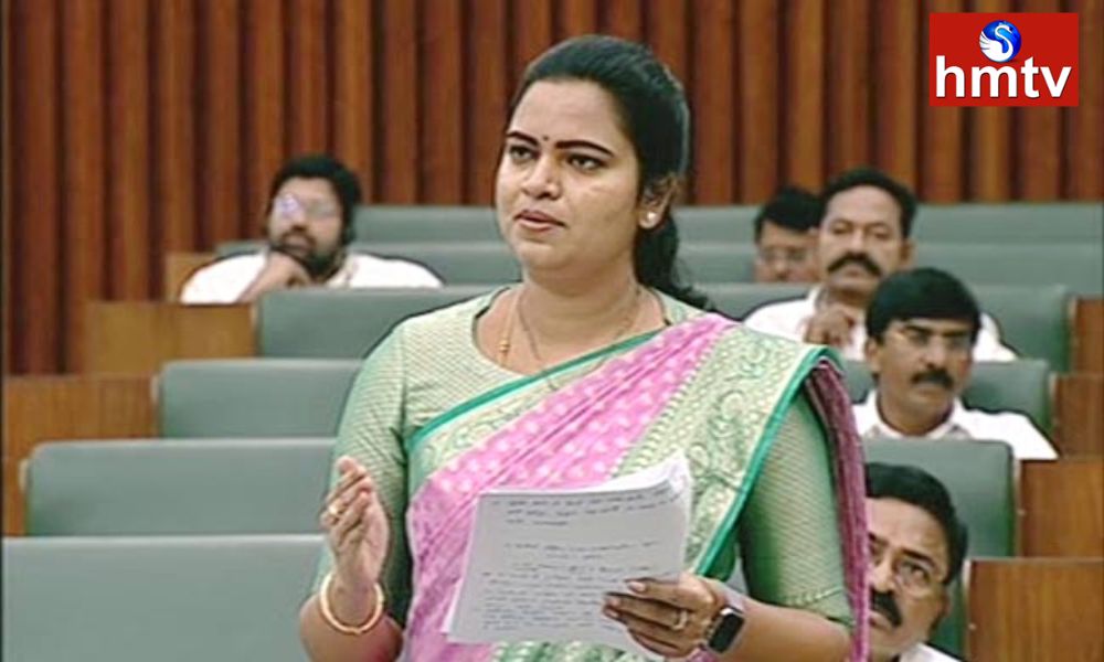 Vidadala Rajini: టీడీపీ హయాంలో ఎలా దోచుకుందాం.. ఎలా దాచుకుందామనే ఆలోచన ...