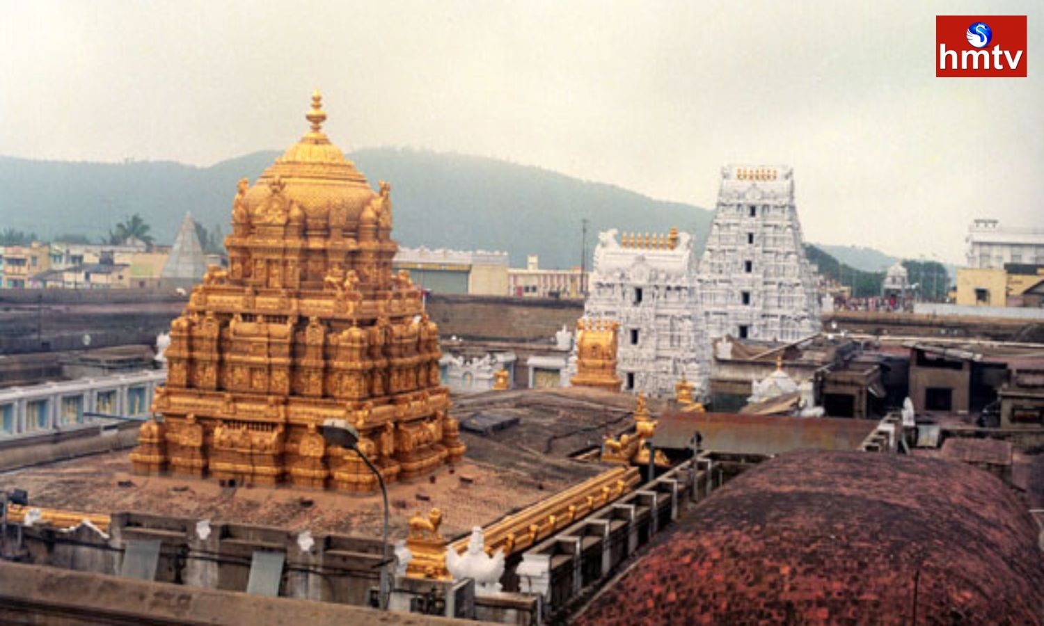 Tirumala: తిరుమల బ్రహ్మోత్సవాల్లో ఇవాళ గరుడసేవ | Today is Garuda Seva ...
