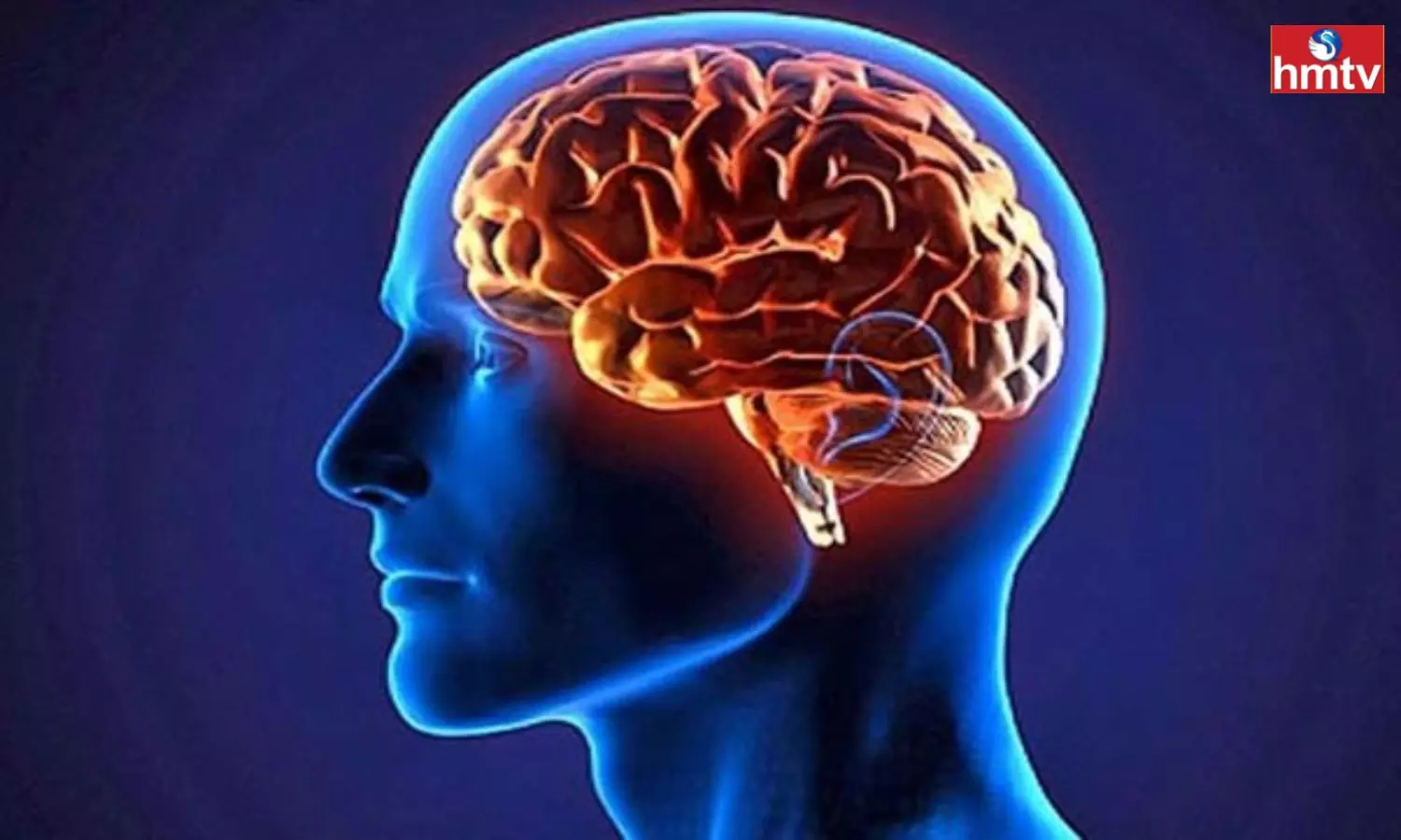 Health Tips: మెదడు కంప్యూటర్‌ కంటే వేగంగా పనిచేయాలంటే ఇవి తినాల్సిందే ...