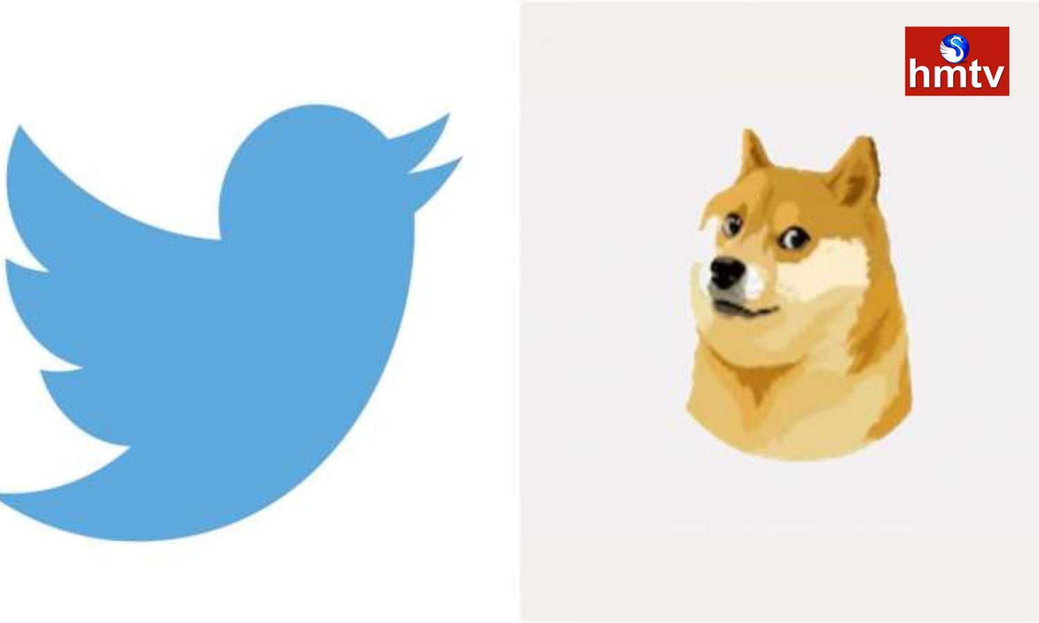 Twitter Logo Changed: మారిన ట్విట్టర్ లోగో.. పిట్ట స్థానంలో కుక్కను ...