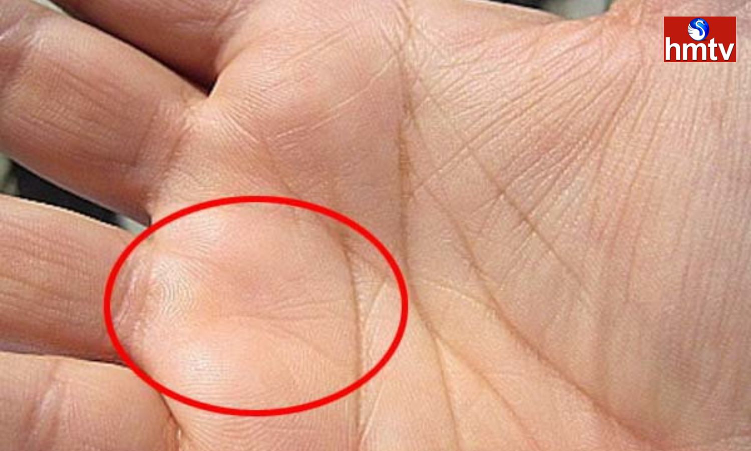 Palmistry: మీ చేతిలో ఇలాంటి గీతలున్నాయా.. డబ్బే డబ్బు.. ఏది పట్టినా ...