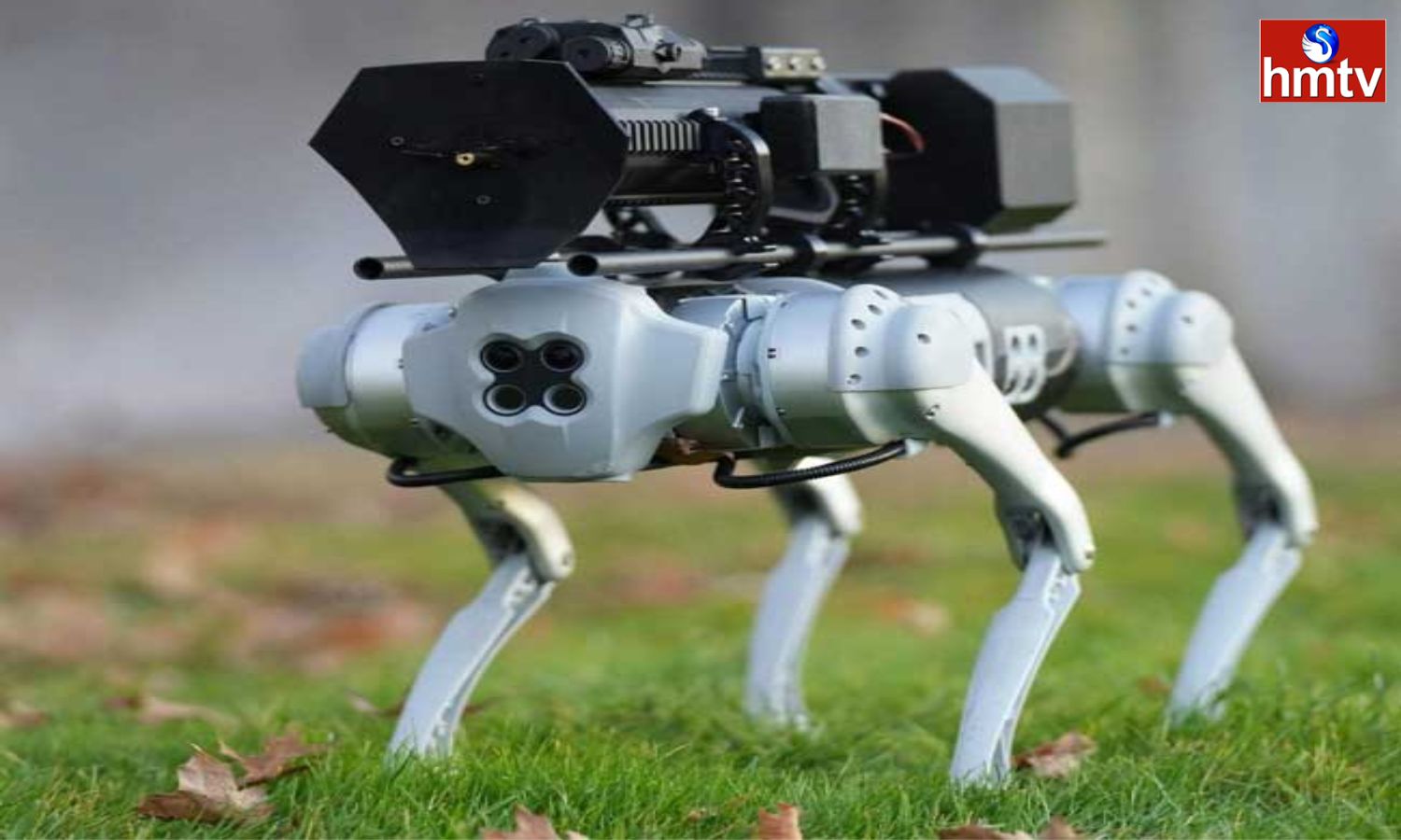 Meet The Flamethrower Wielding Robot Dog