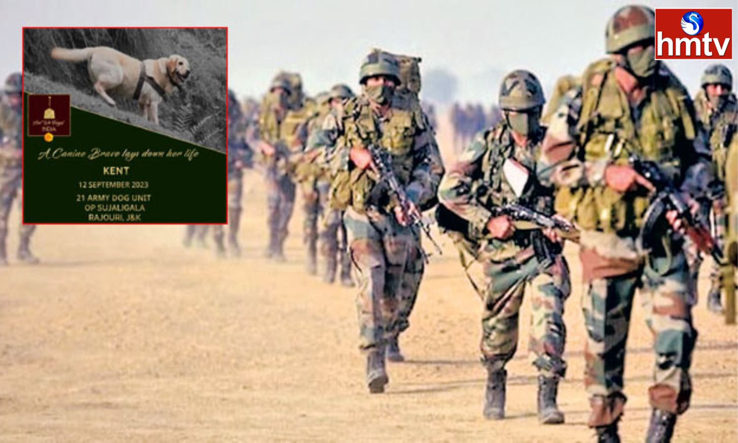 Army Dog: జవాన్‌‌ను కాపాడేందుకు.. ఉగ్రవాదులకు ఎదురెళ్లిన డాగ్.. దేశం ...