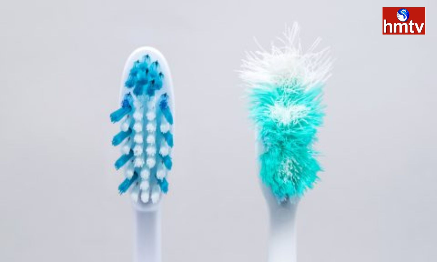 Damaged Toothbrush: పాడైపోయిన టూత్‌ బ్రష్‌ని పారేస్తున్నారా.. ఈ పనులకు ...
