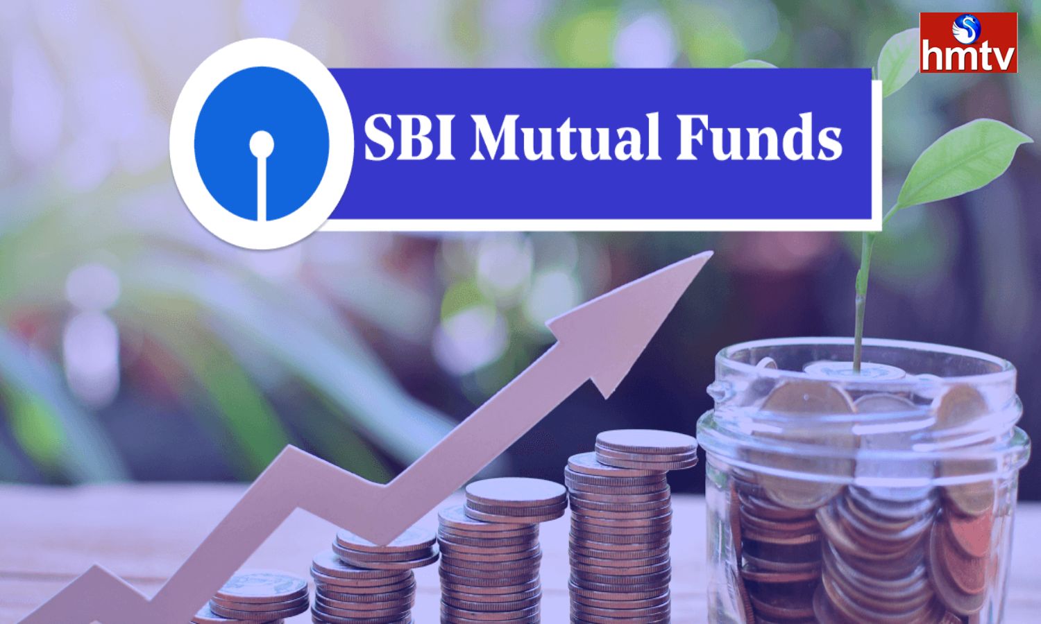 SBI Mutual Fund: ఎస్బీఐకి సంబంధించి ఈ స్కీమ్‌లో రూ.25000 ఇన్వెస్ట్ ...